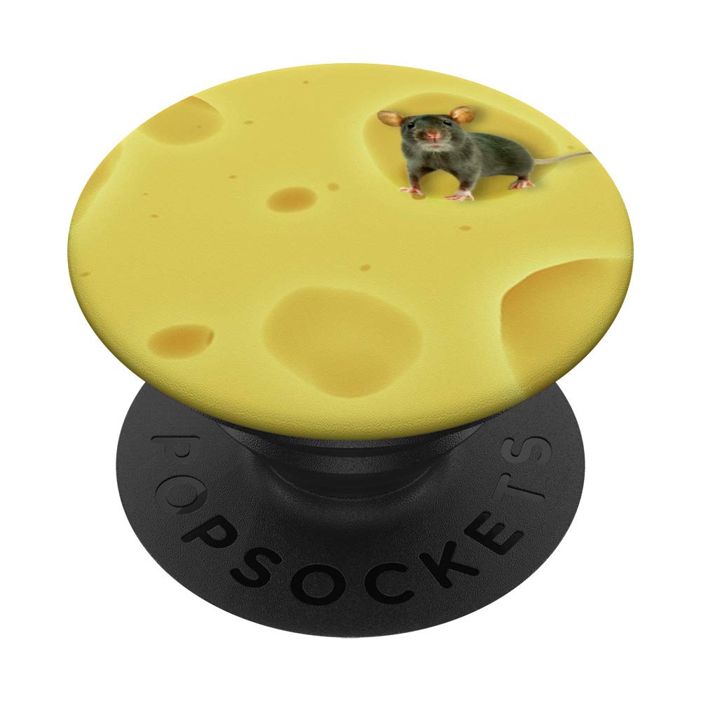 Swiss Cheese Mouse