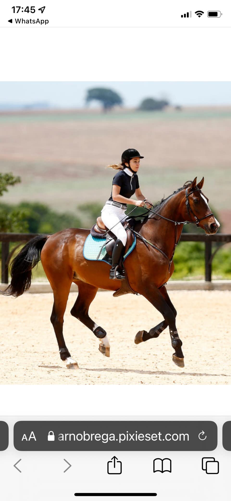 $15/mo - Finance HORZE Genuine Leather Cross-Under Bitless Bridle ...