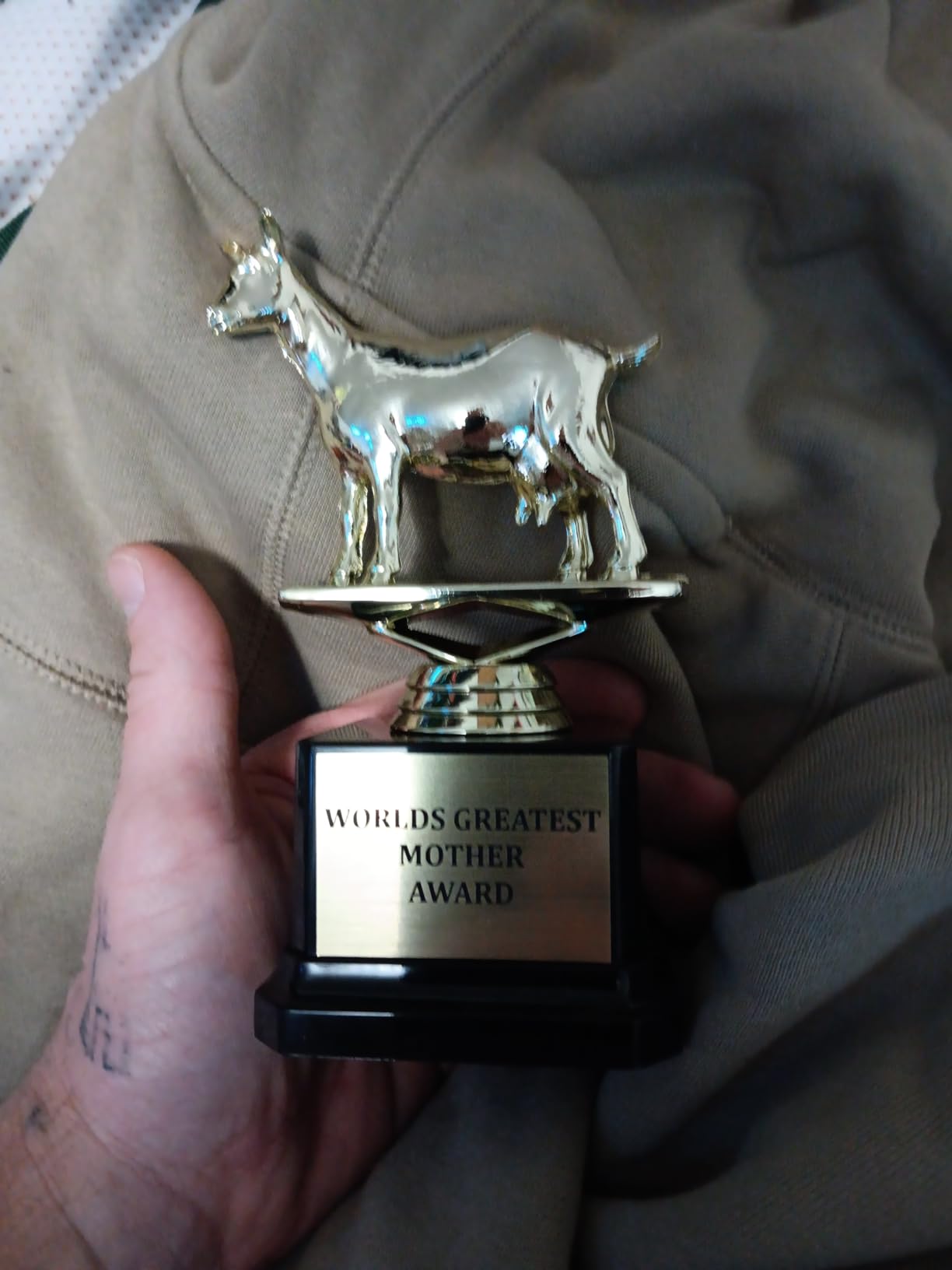 $4/mo - Finance Victory Female Trophy | Award Trophy for Sports ...