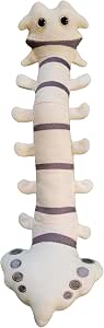 Amazon.com: GIANTmicrobes Spine Plush, Spine Surgeon Gifts, Back ...