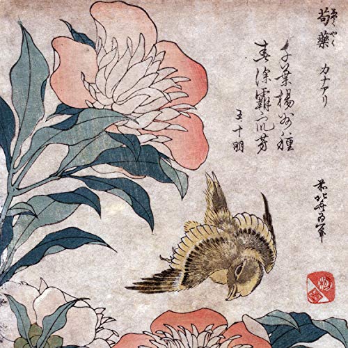 Jazzy Bird de Absentpattern en Amazon Music Unlimited