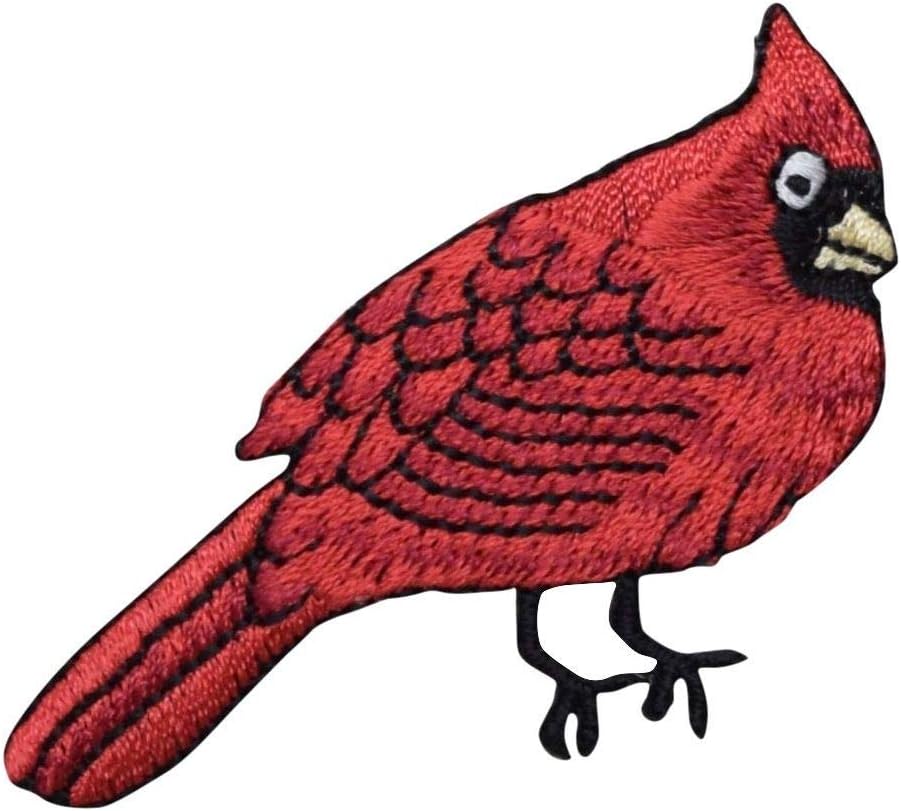 Amazon.com: Iron On Decorative Applique Patches - Cardinal - Birds ...