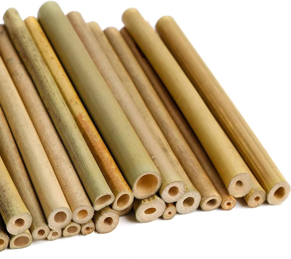 Amazon.com: INature 100 Pieces Bamboo Sticks, Tubes, and Stakes for ...