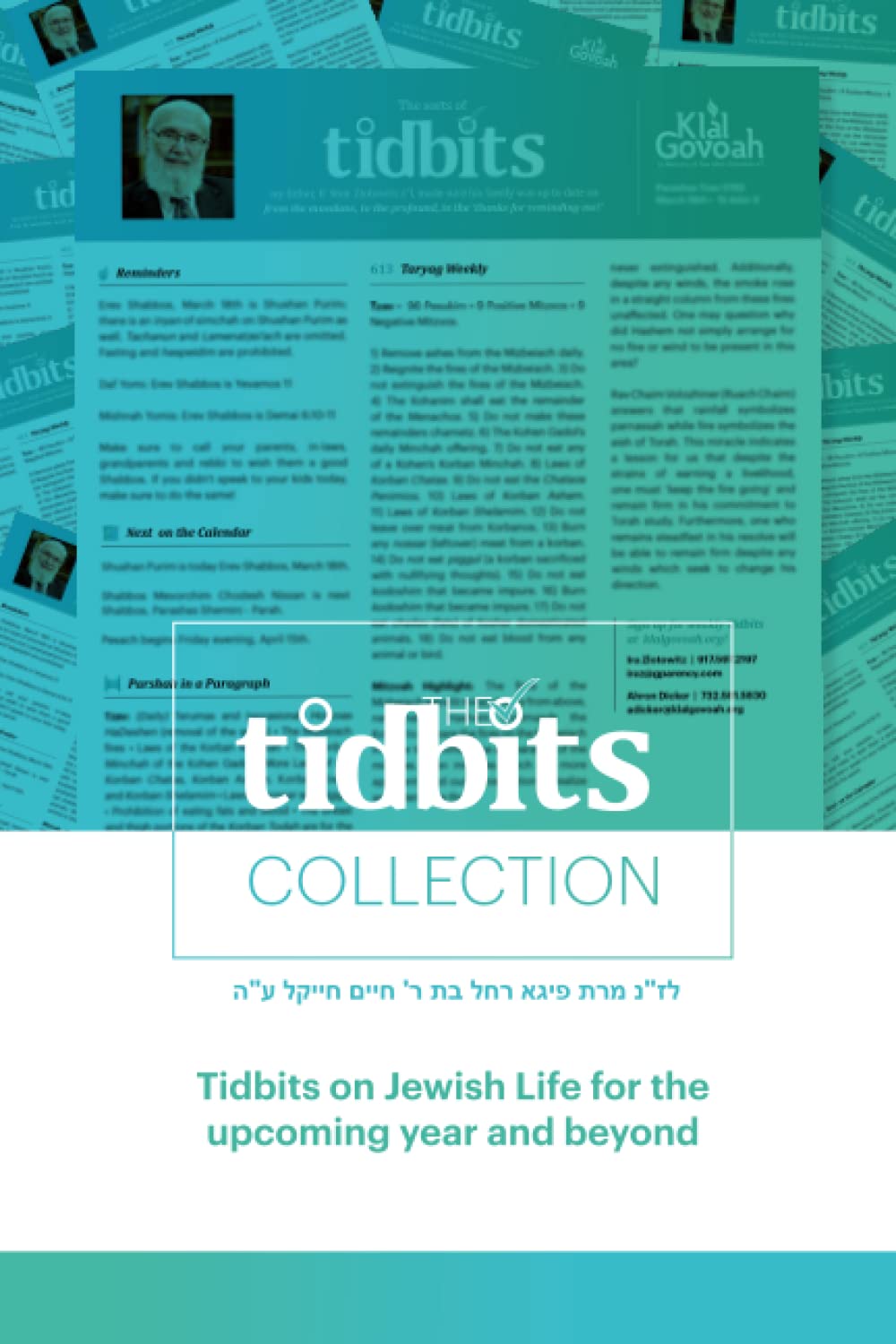 The Tidbits Collection: Dicker, Ahron, Zlotowitz, Ira: 9798378356560 ...