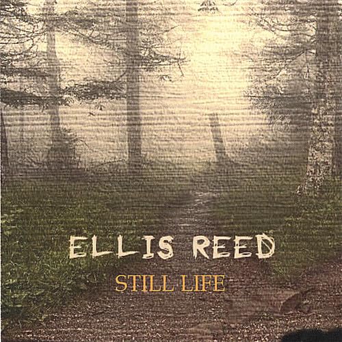 Ellis Reed - Still Life - Amazon.com Music