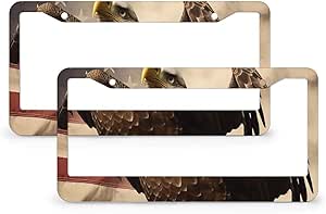 Amazon.com: USA Vintage American Flag Bald Eagle License Plate Frame 2 ...