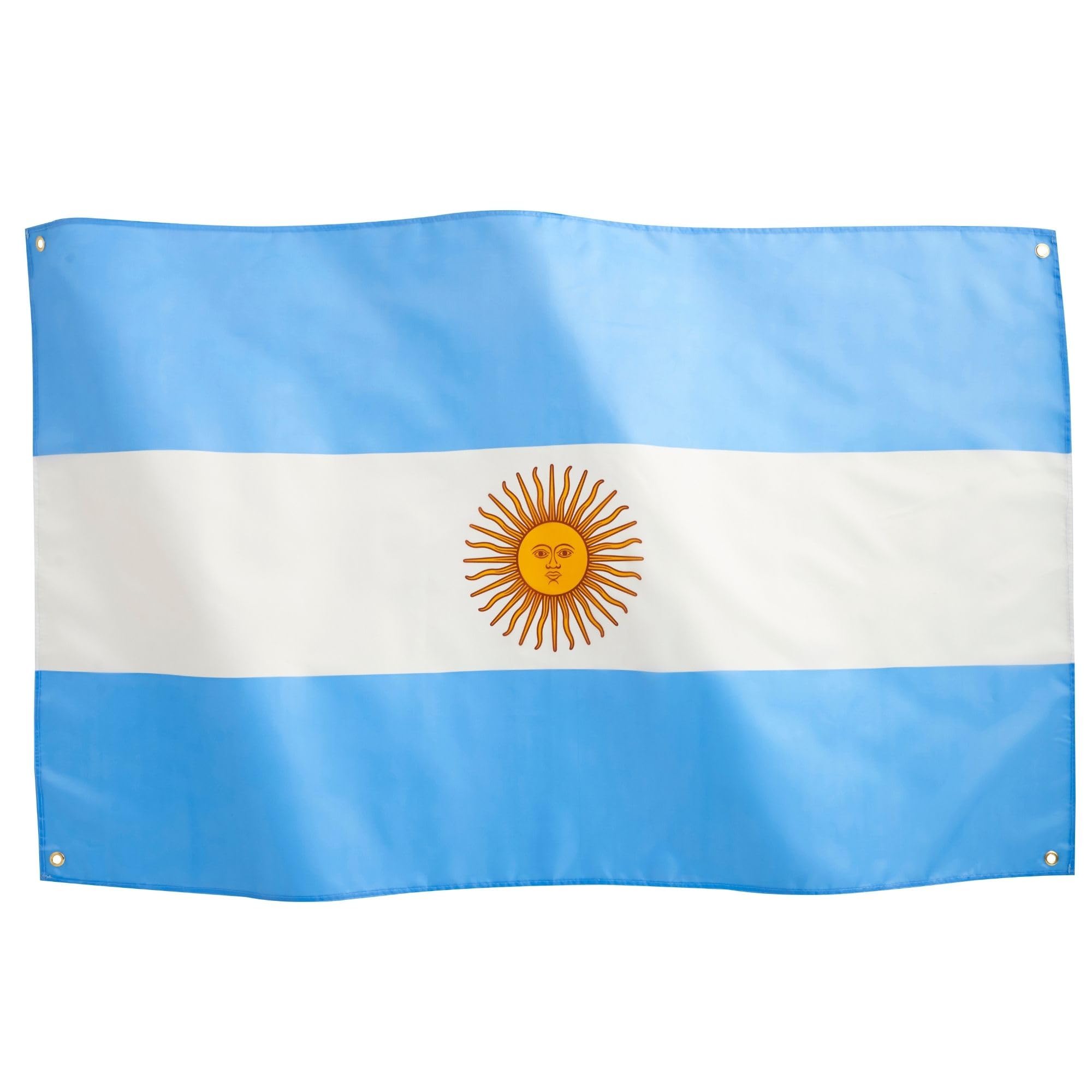 Official Flag Of Argentina National Flag Of Argentina 11159354 Vector