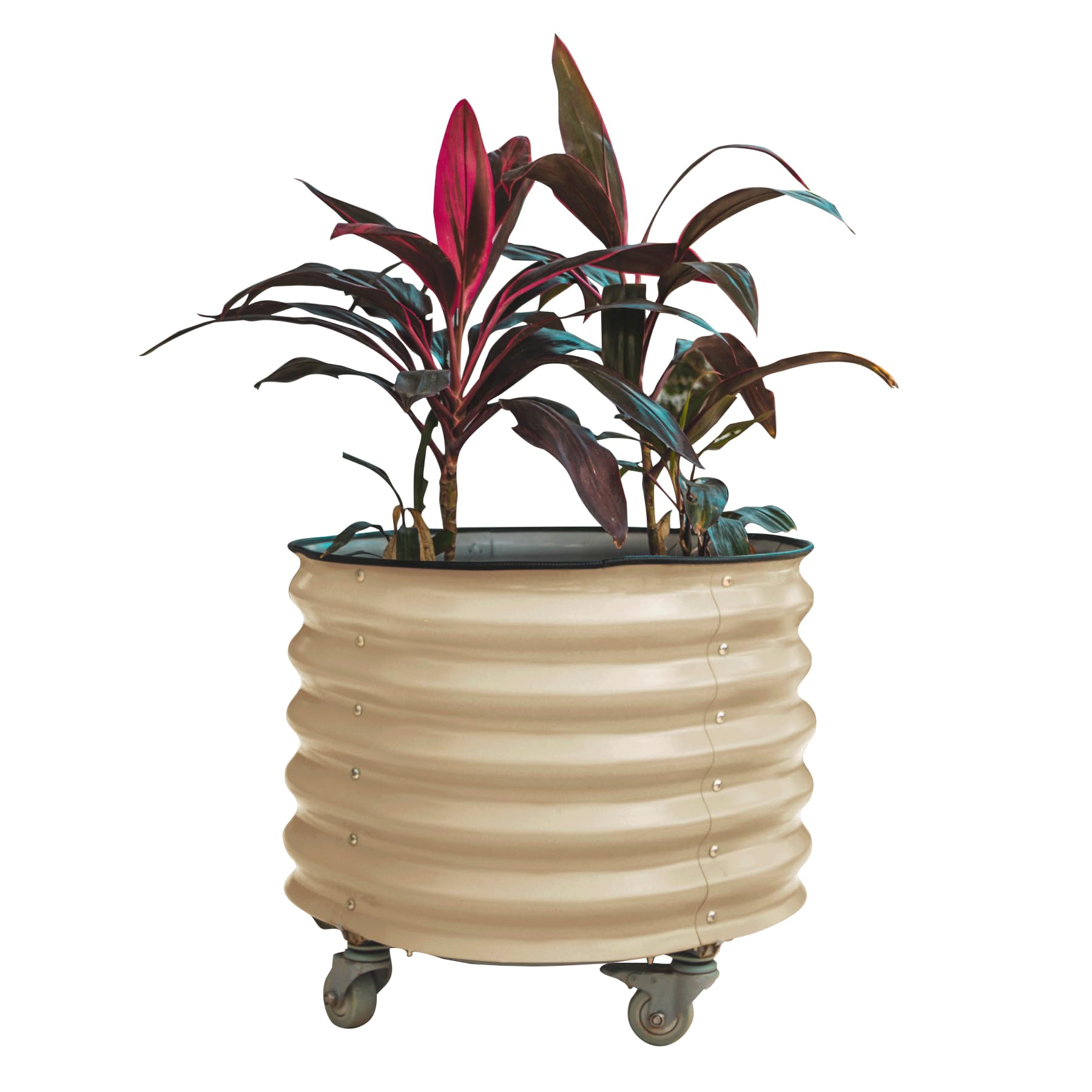 Amazon.com: Vego garden Self-Watering Rolling Planter Single Pack ...