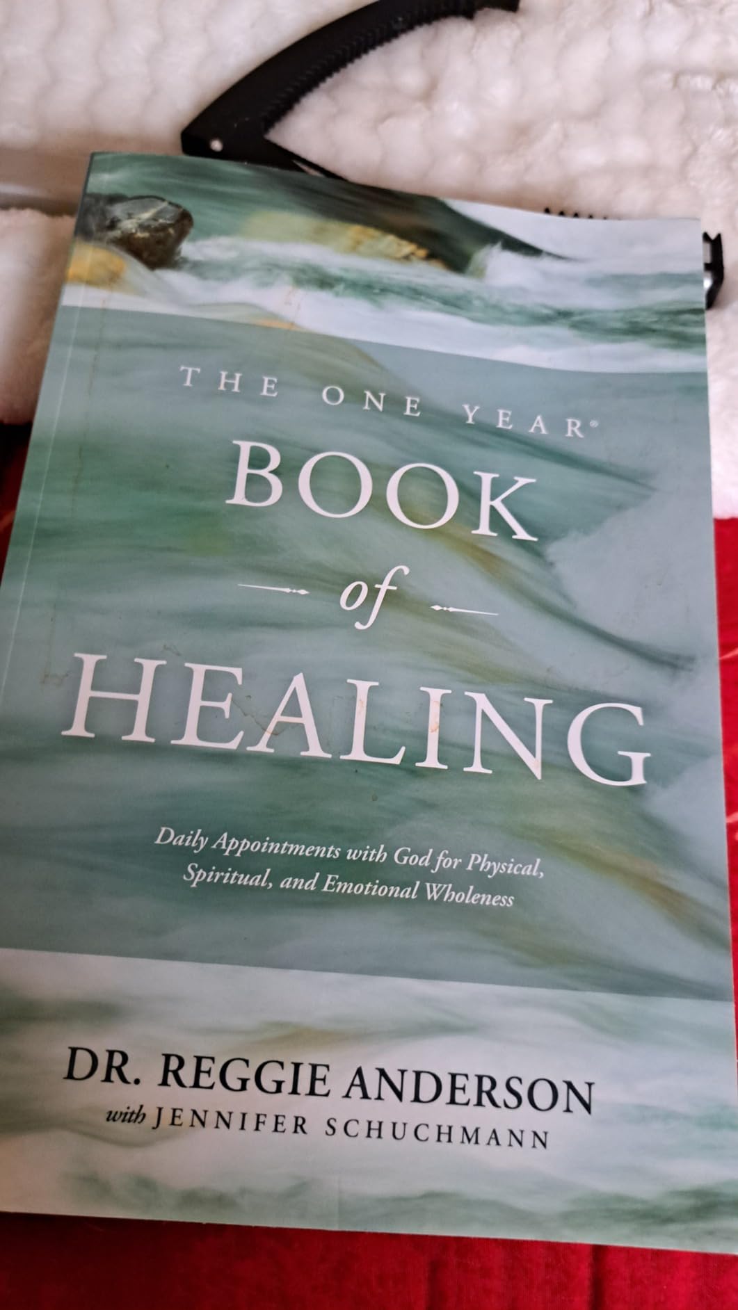 The One Year Book of Healing: Daily Appointments with God for Physical ...