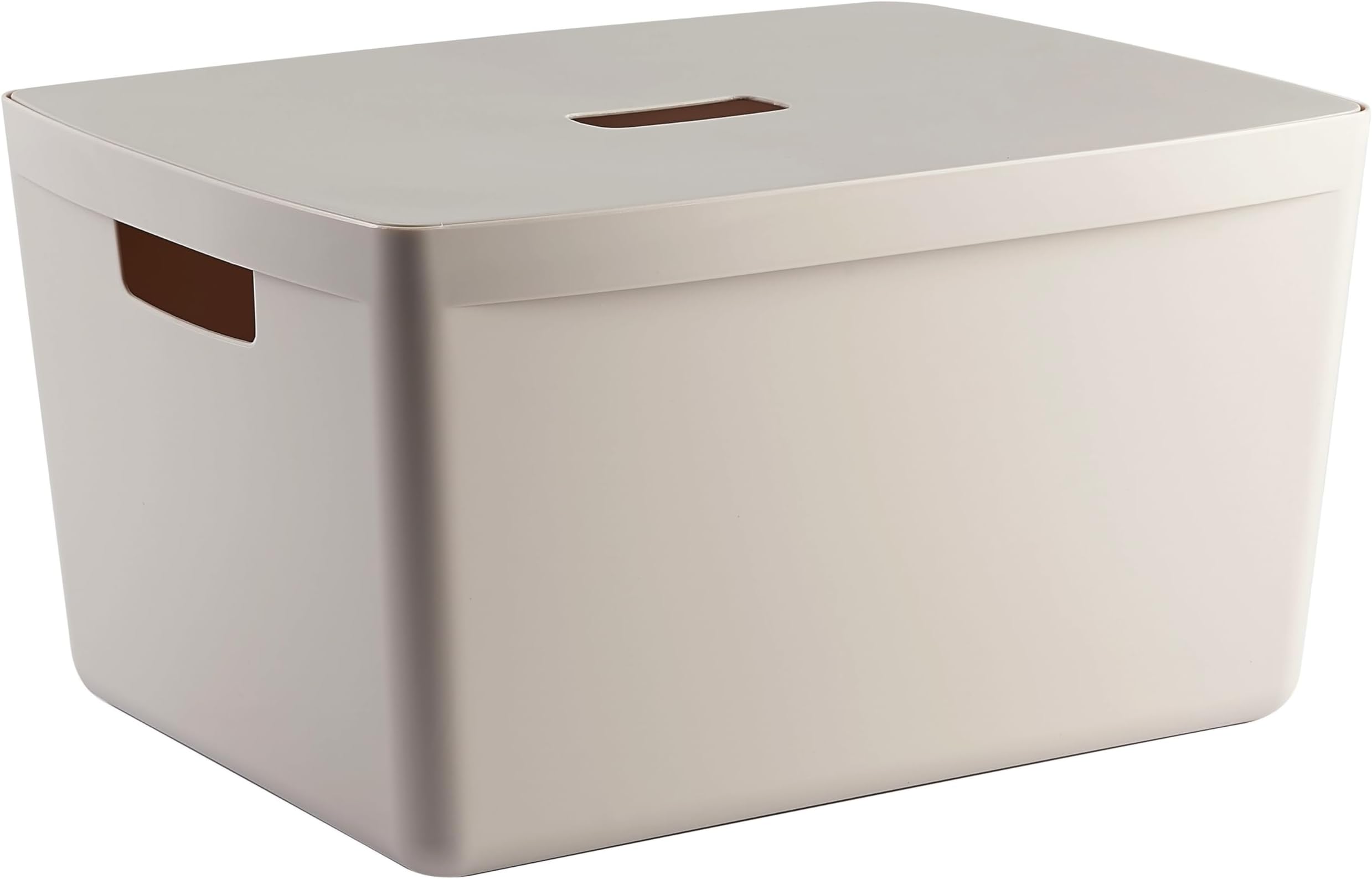 IDEA HOME Plastic Storage Box with Lid - Storage Boxes - Storage ...