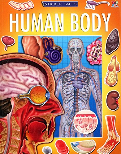 Sticker Facts: Human Body: Liz Leask: 9781782440246: Amazon.com: Books