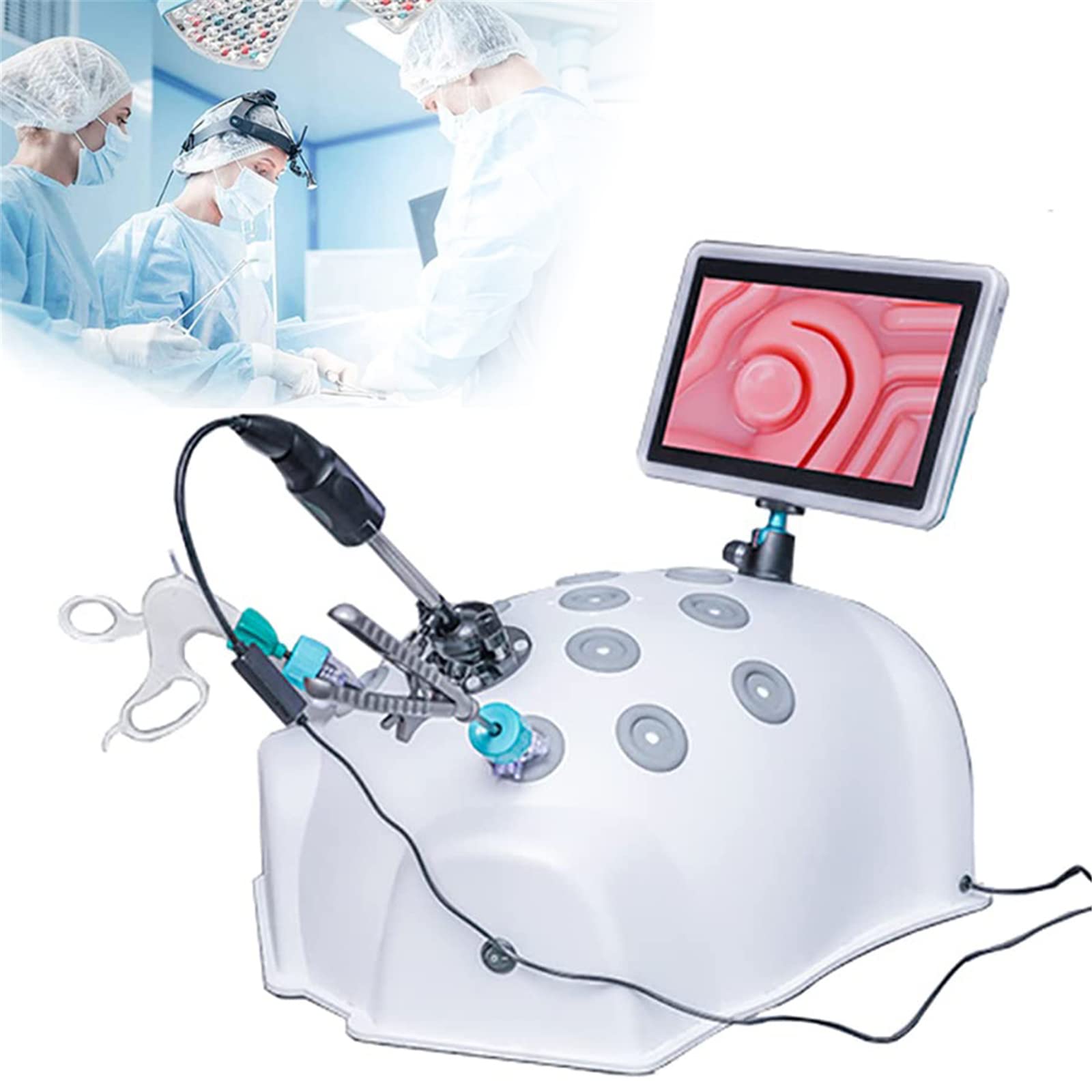 Buy Laparoscopic Training Box, Laparoscopic Simulator with 11-inch High ...