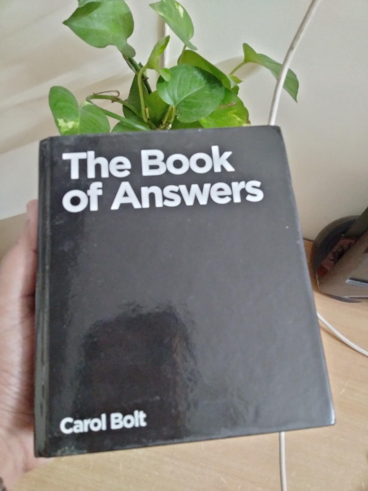 The Book of Answers : Bolt, Carol: Amazon.in: Books