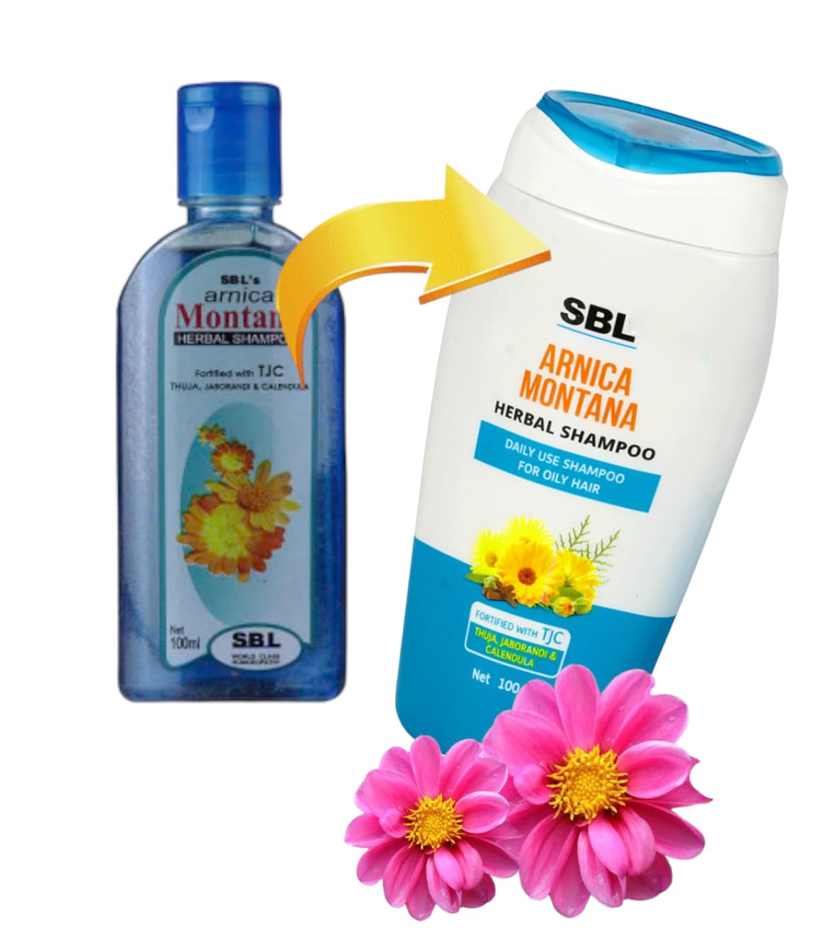 Buy SBL Arnica Montana Herbal Shampoo With Conditioner 100ml - Set of 1 ...