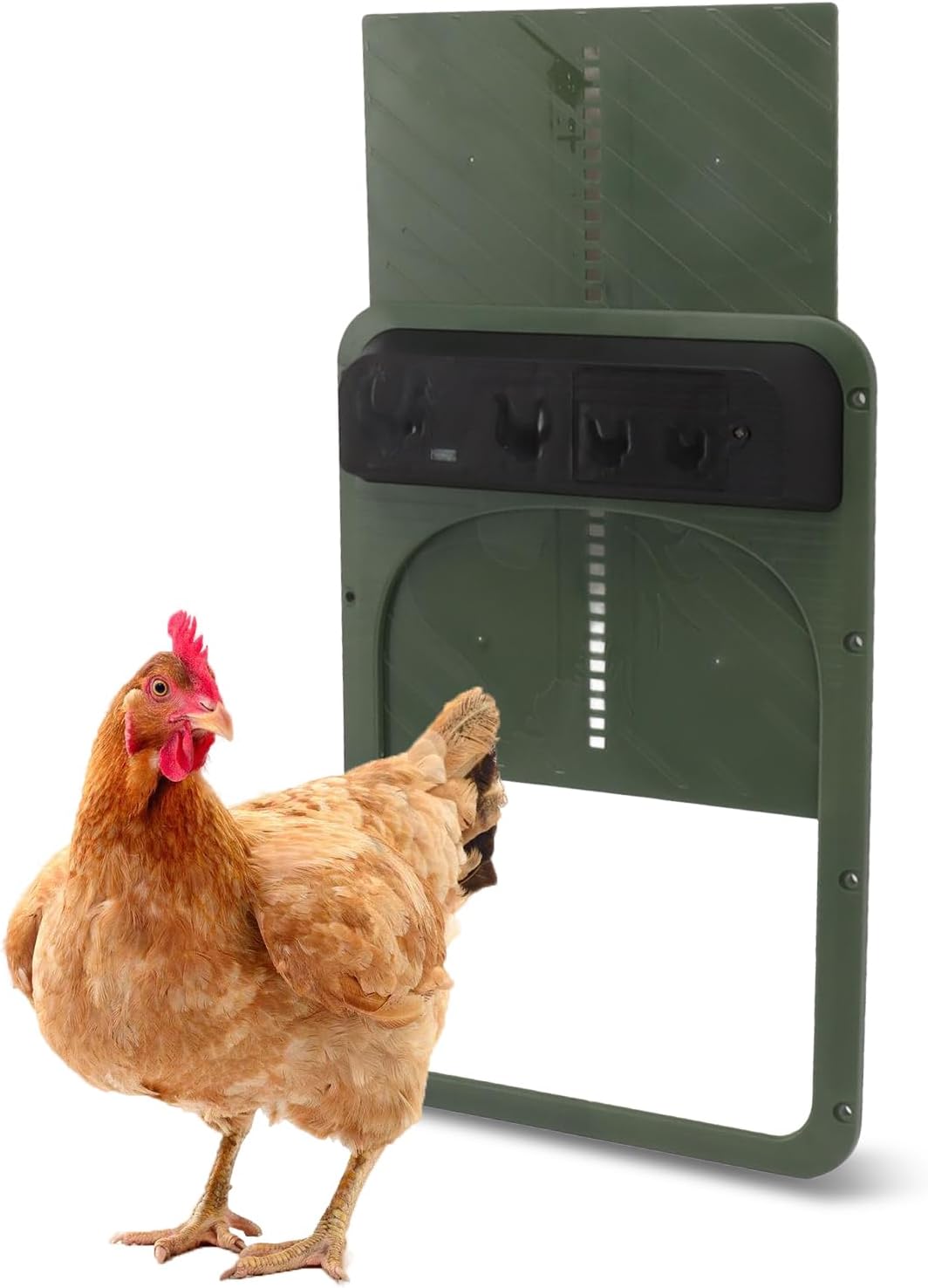 Automatic Chicken Coop Door, Safer and Stronger Plastic Chicken Coop ...