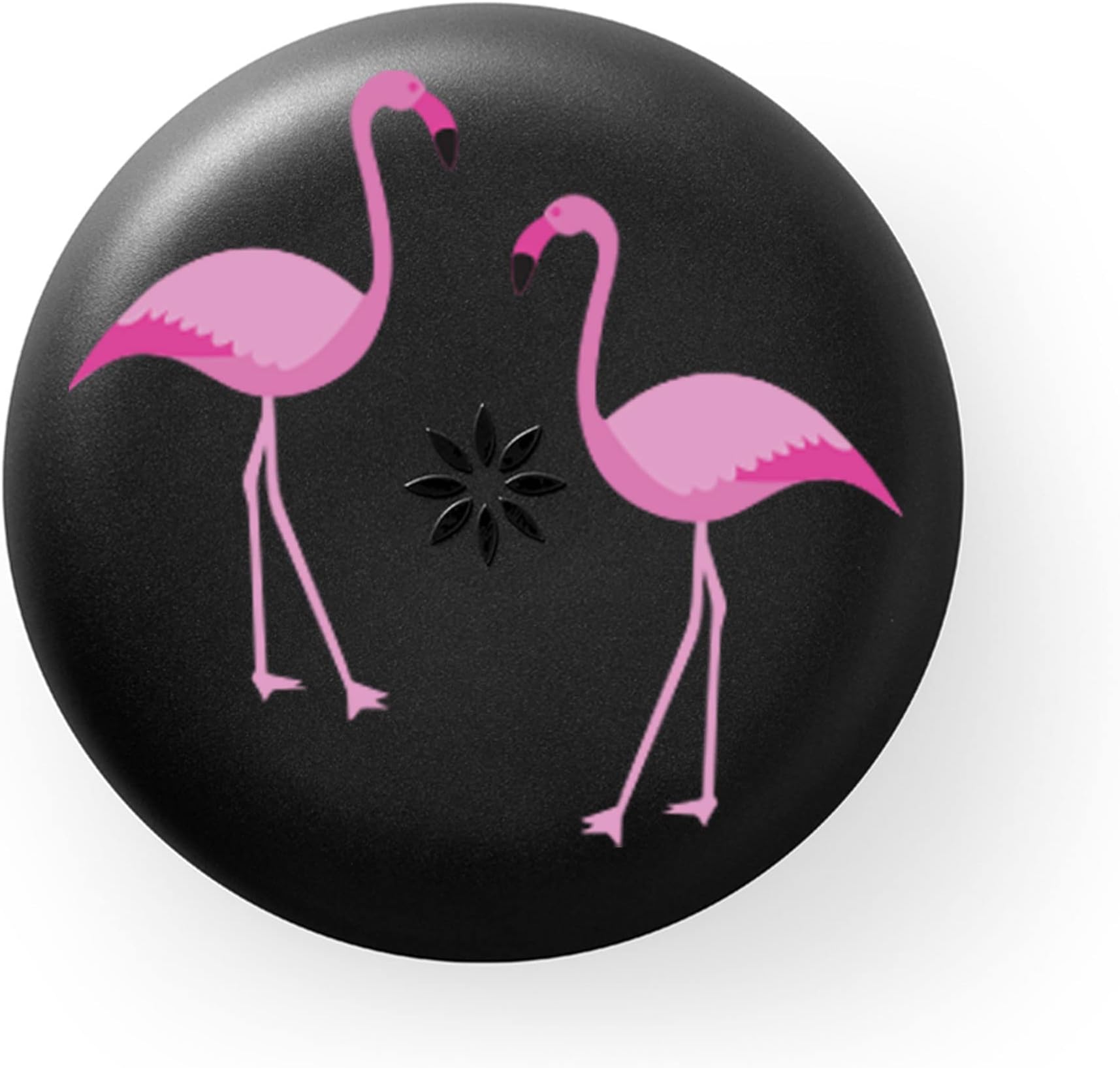 Amazon.com: INVISALIGN Aligner and Retainer Case, Bear Retainer Holder ...