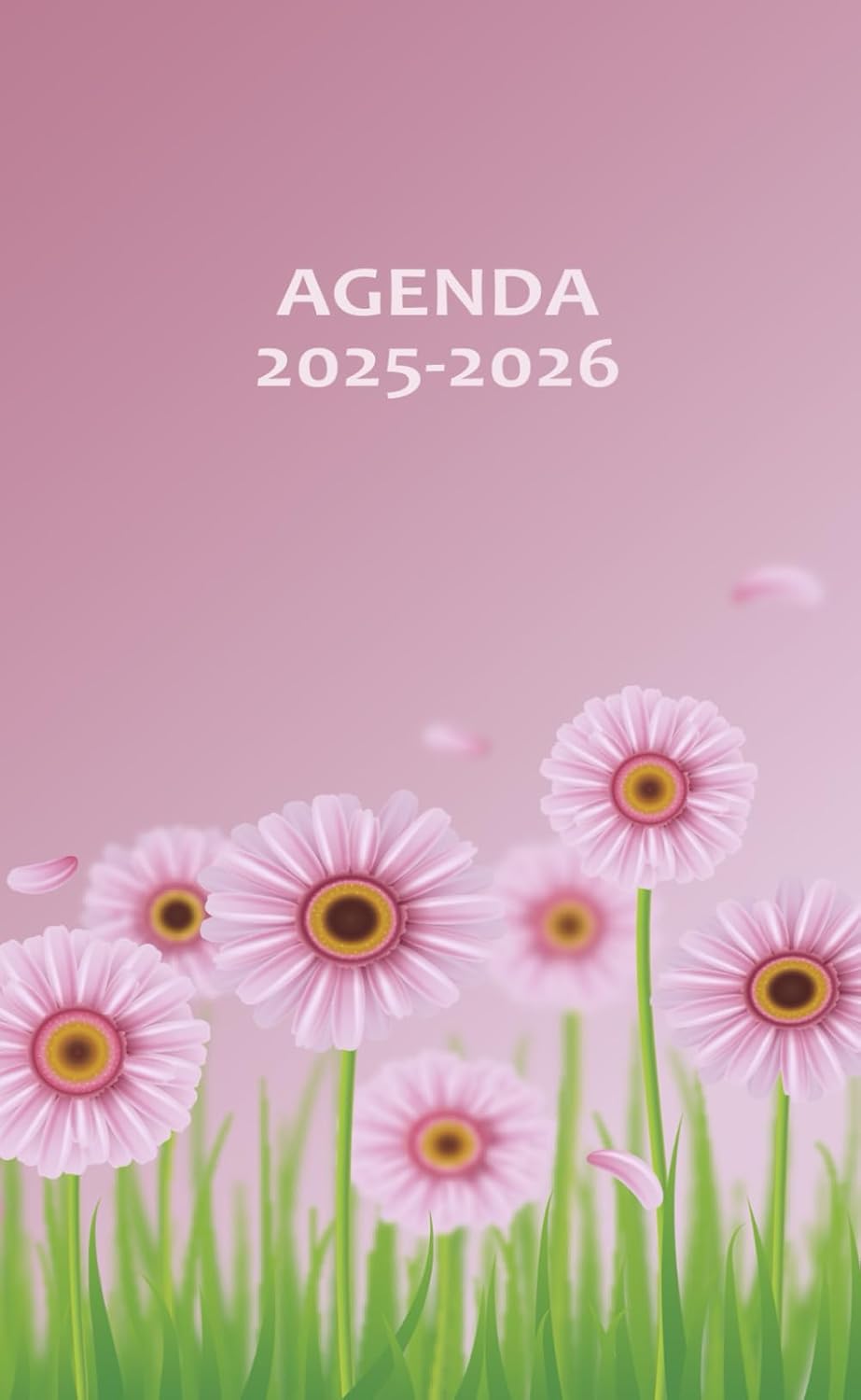 Agenda 2025-2026 Petit Format de Poche: Calendrier Semainier, Mensuel ...