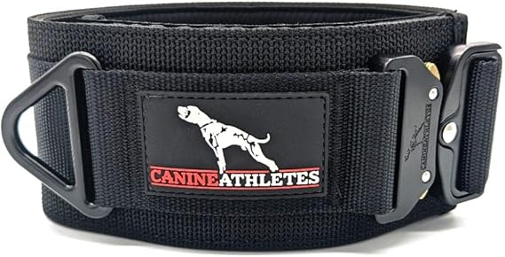 Amazon.com : Canine Athletes 3" Venator Neoprene Padded Working Dog ...