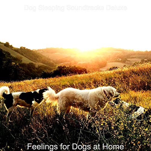 Amazon Music - Dog Sleeping Soundtracks DeluxeのFeelings for Dogs at Home - Amazon.co.jp