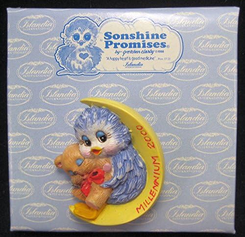 Amazon.com: Sonshine Promises "The Sky's the Limit" Millennium 2000 ...