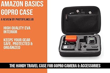 Amazon.com : Amazon Basics Small Carrying Case for GoPro And ...