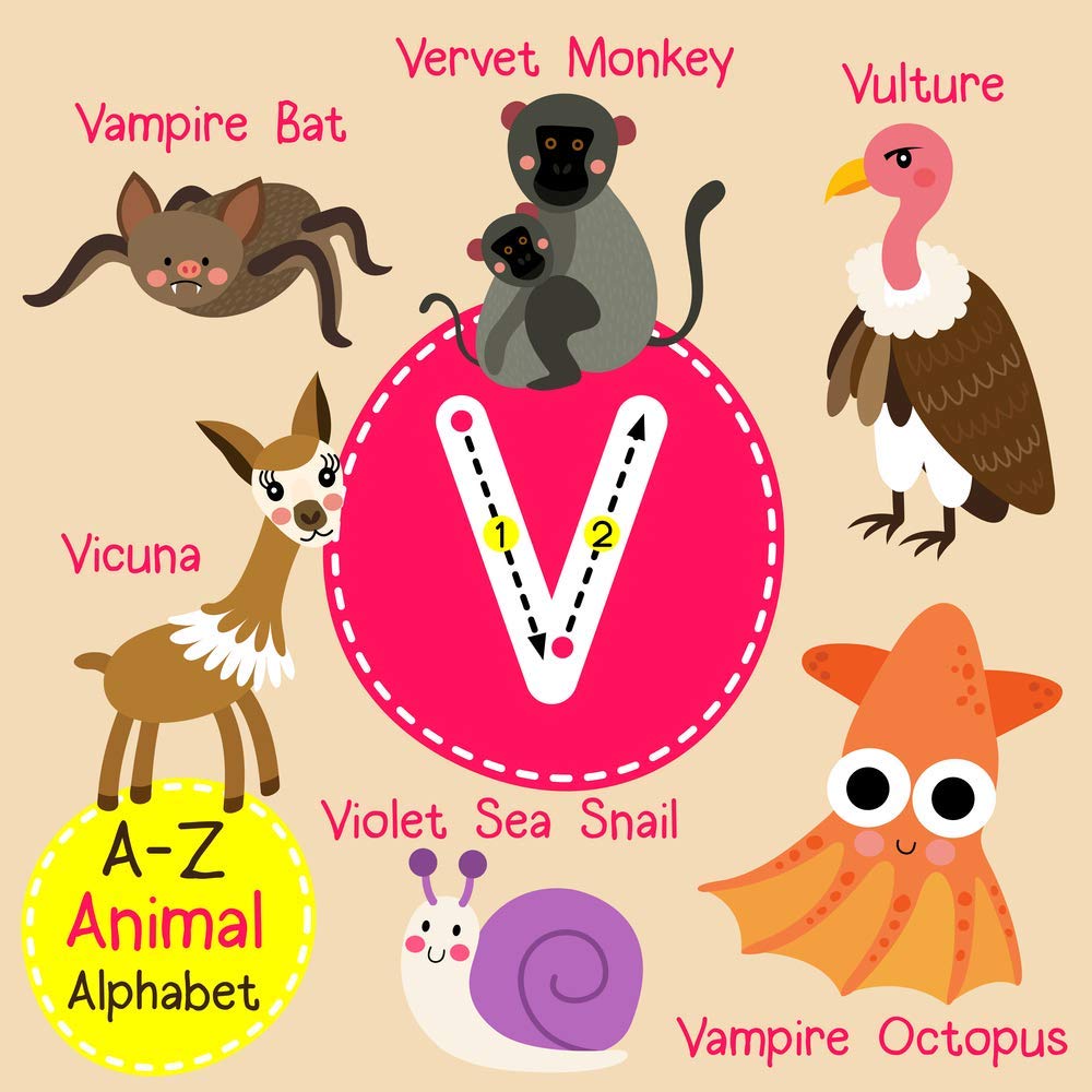 Animals That Start With V