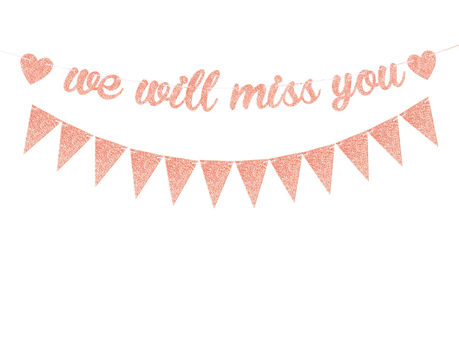 Buy We Will Miss You Banner Rose Gold Glitter and Triangle Banner ...