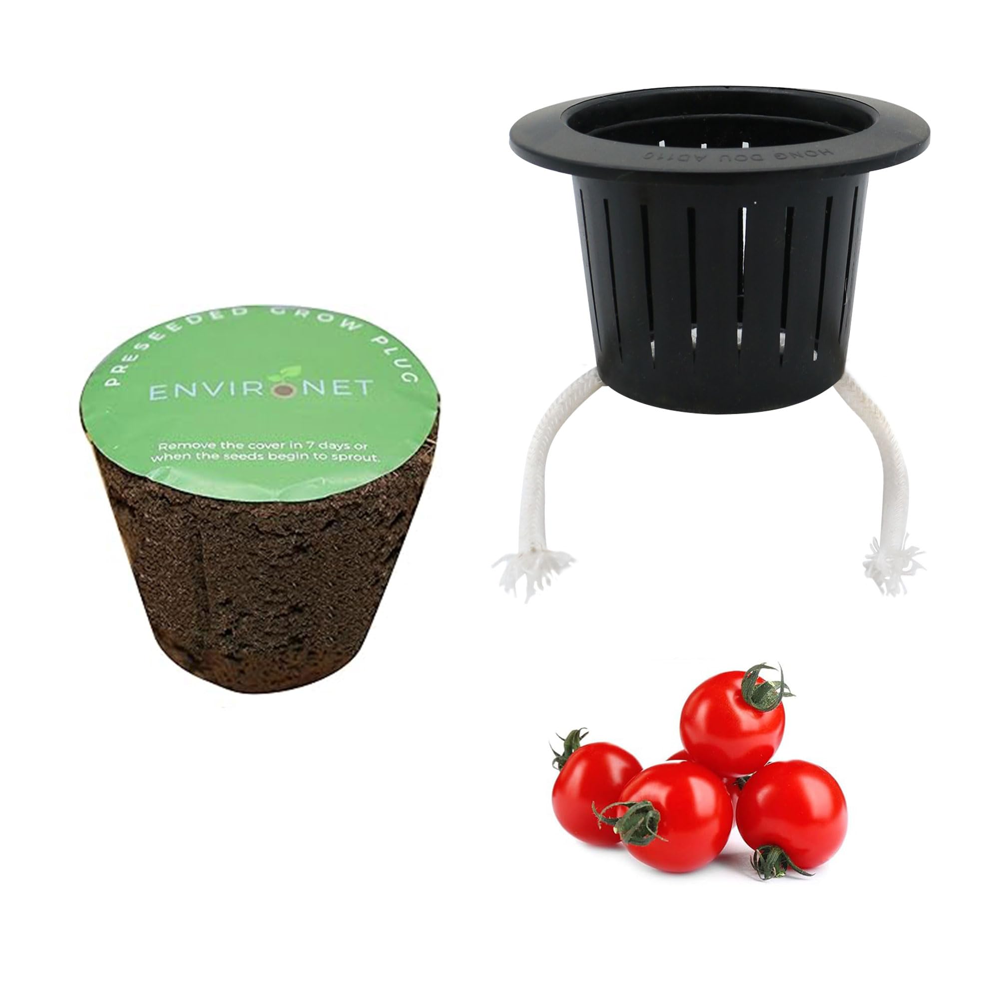 5 Best Micro Tom Tomato Plants | Compact Plants, Big Harvests
