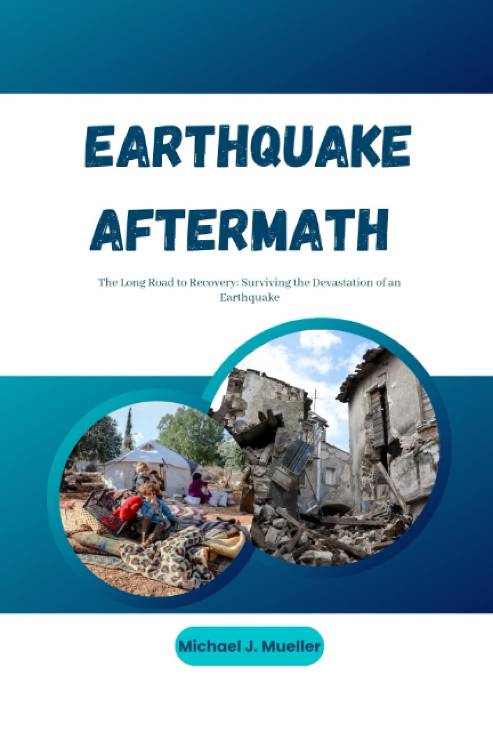 Earthquake Aftermath: The Long Road to Recovery: Surviving the ...