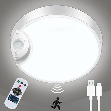 BIGLIGHT Battery Operated LED Ceiling Light Indoor Outdoor, Color ...