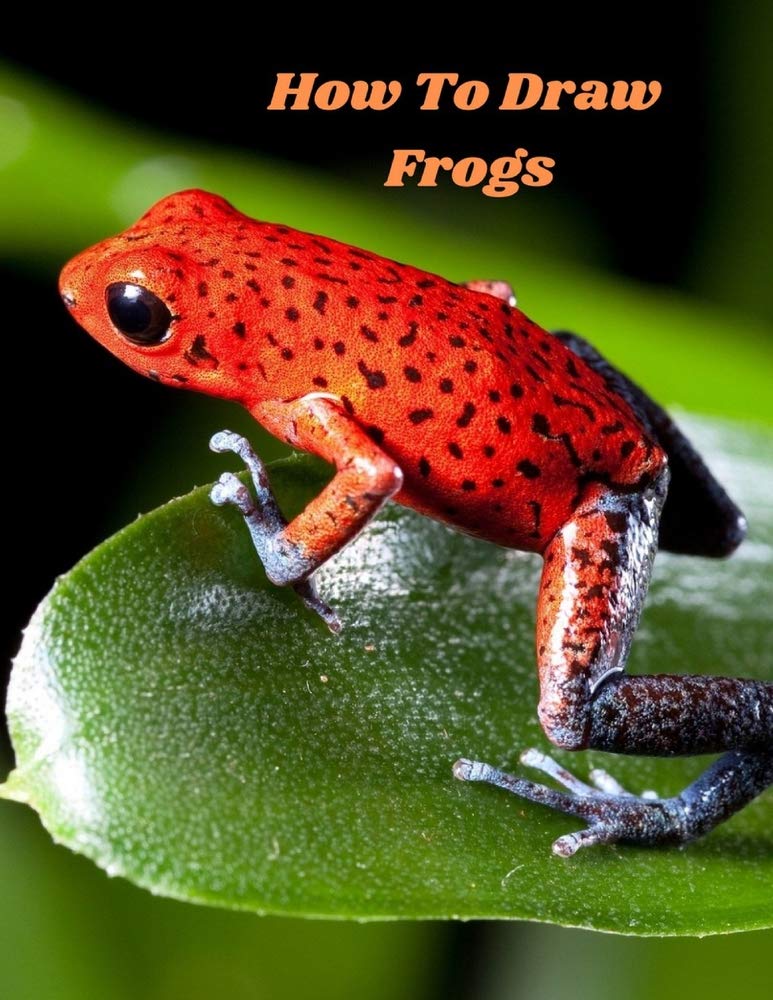 How To Draw Frogs An Art Drawing Book To Learn | Desertcart KUWAIT