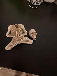 Amazon.com : Transpac Imports 4 Pc. Bone Stretchers Skeletons in Yoga ...