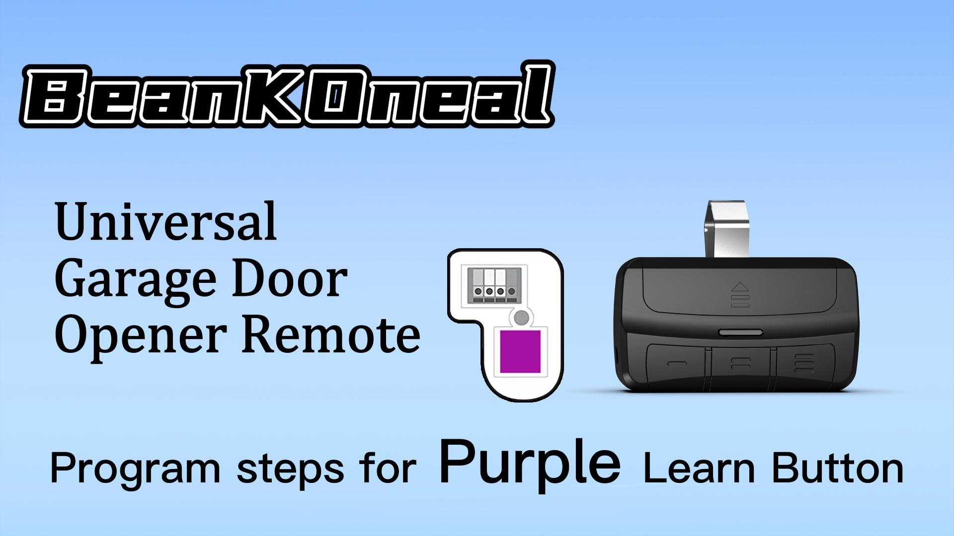 Watch Program steps for Purple Learn Button ﹙BeanK Oneal Universal ...