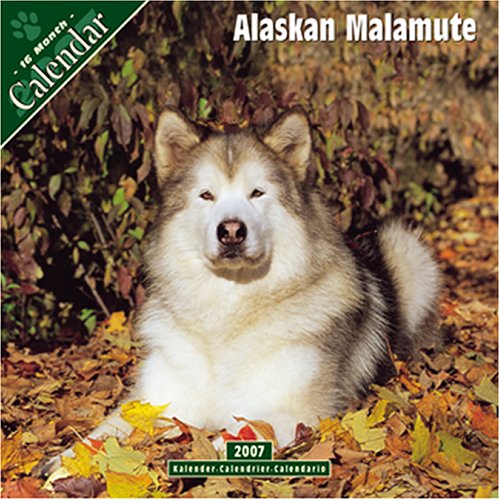 Amazon.in: Buy Alaskan Malamute 2007 Wall Calendar Book Online at Low ...