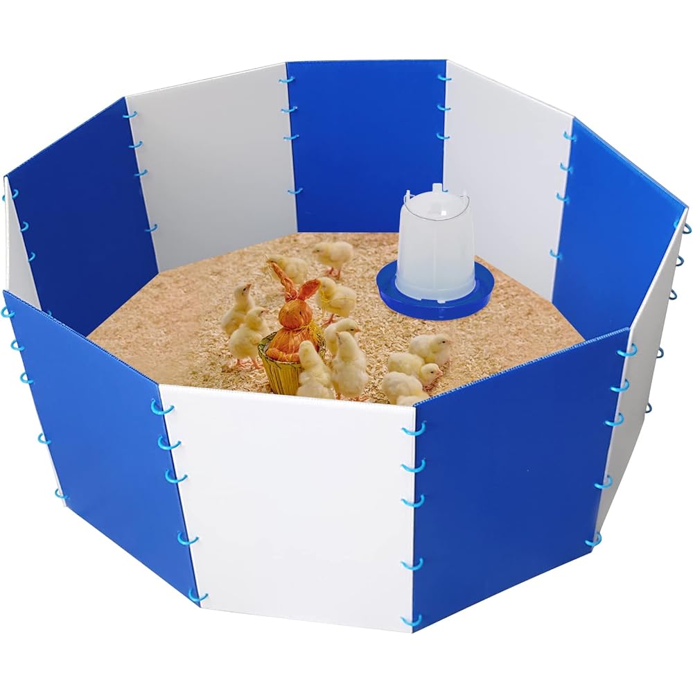 $4/mo - Finance Baby Chick Starter Home Kit - Chicken Brooder Start Kit ...
