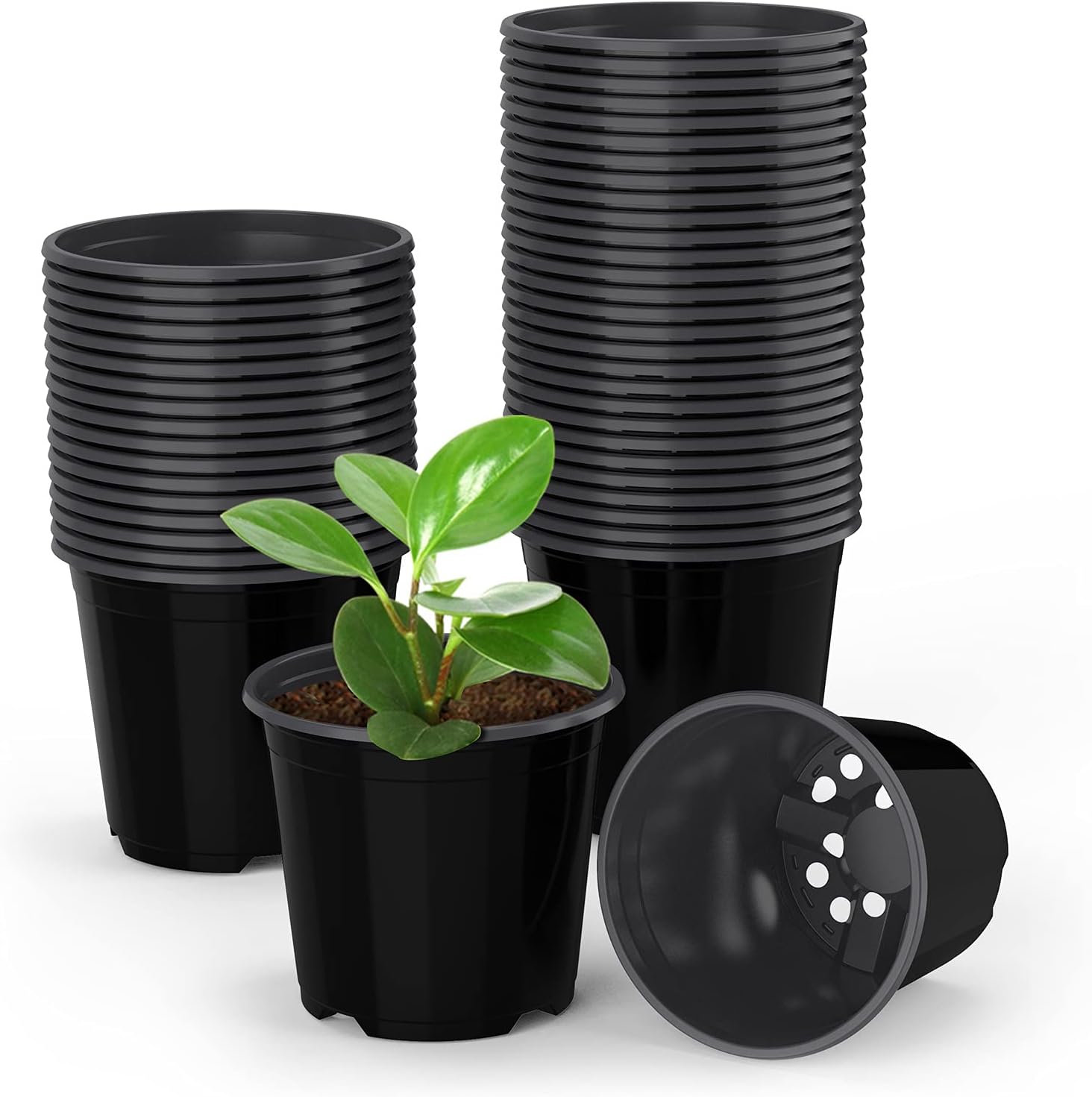 Amazon.com: UPMCT 50 Pack Nursery Pots, 0.5 Gallon Black Plants Flower ...
