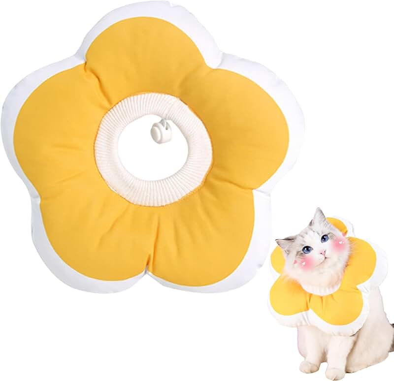 Amazon.fr : Collerettes Pour Chats - Collerettes Pour Chats / Hygiène ...