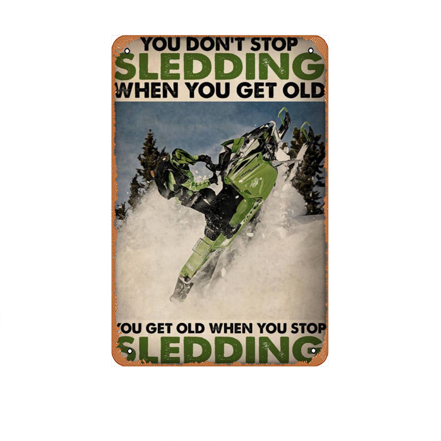 Amazon.com : Snowmobile Poster Snowmobile Lovers Arctic Cat Snowmobile ...