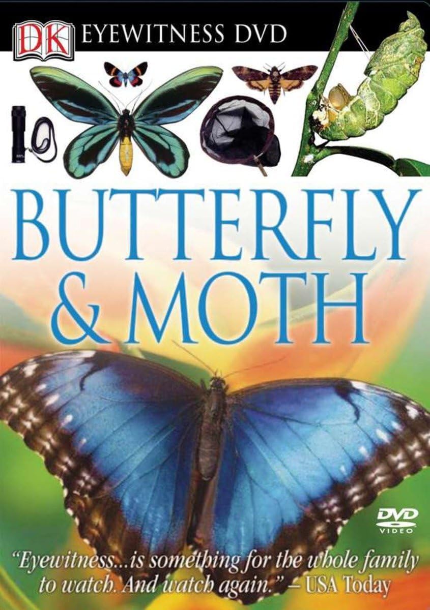 Eyewitness DVD: Butterfly and Moth: Amazon.co.uk: DVD & Blu-ray