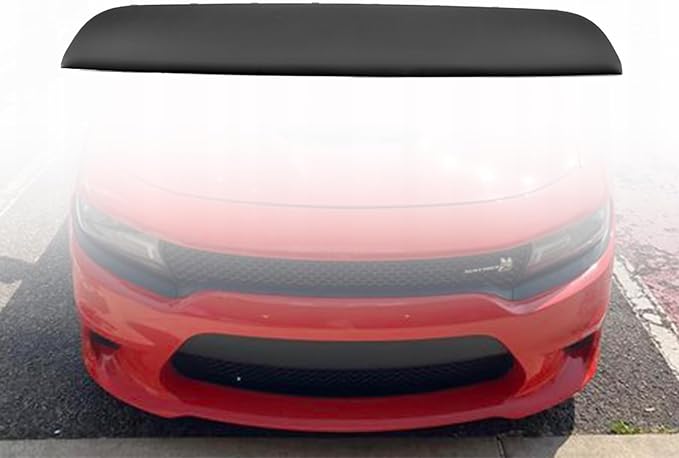 Amazon.com: Front Bumper Molding For 2015-2022 Do-dge Charger ...