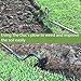 DUC The Handy Plow | Garden Tiller/Cultivator | Creating Rows, Furrows ...