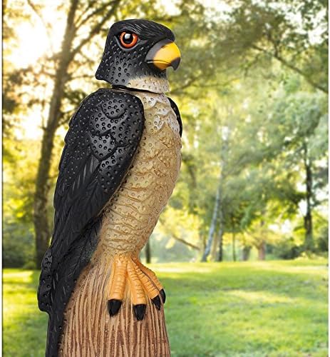 PestExpel® Realistic Falcon Wind Action Decoy Scarer Detterent – BigaMart