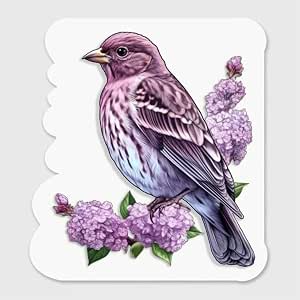Amazon.com - Yoonek Graphics New Hampshire Purple Finch Bird Purple ...