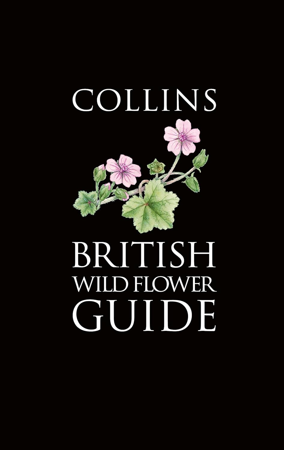 Collins British Wild Flower Guide: A beautifully detailed botanical ...