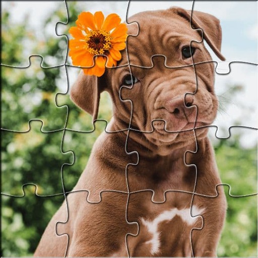 Jigsaw Puzzles – Puzzle Games Free For Adults On Kindle Fire - App on ...