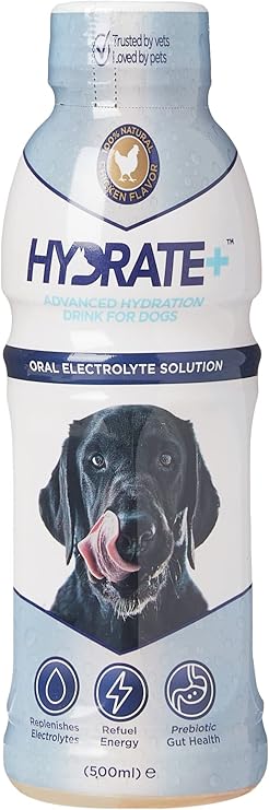 HYDRATE+ Dog 500ml, 1 piece : Amazon.co.uk: Pet Supplies