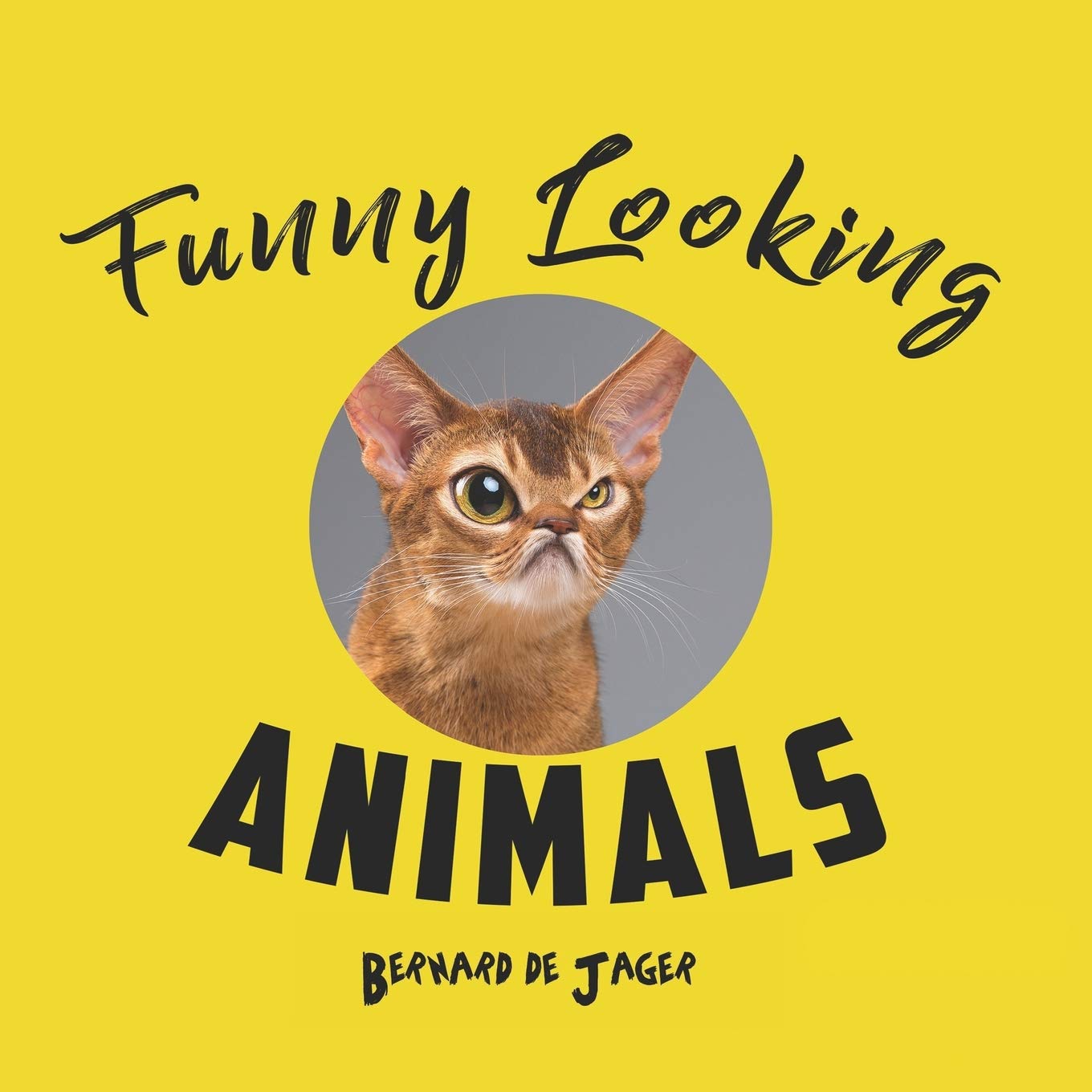 Funniest Looking Animals
