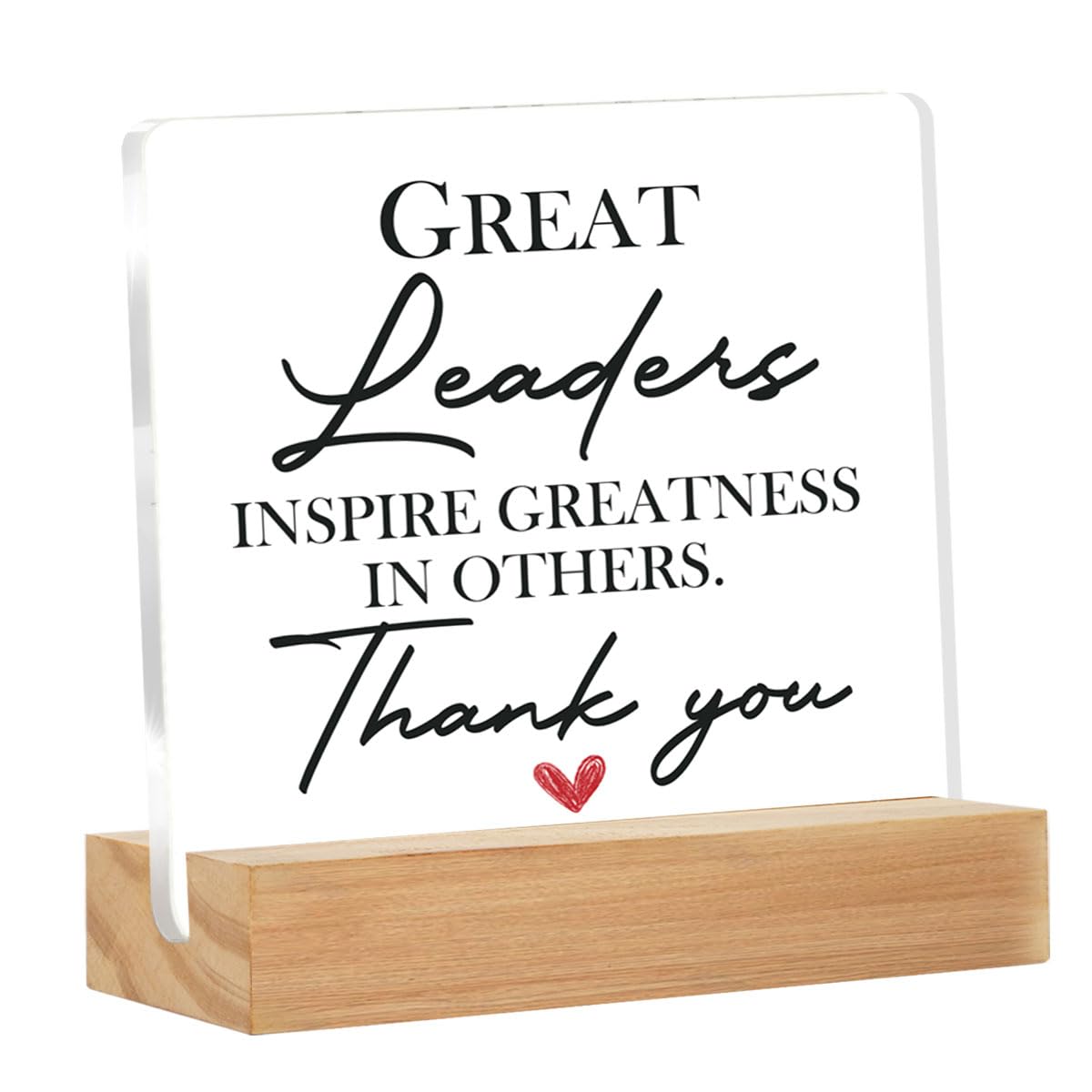 Amazon.com: Leader Gifts Appreciation Gifts for Leader Coworker Thank ...