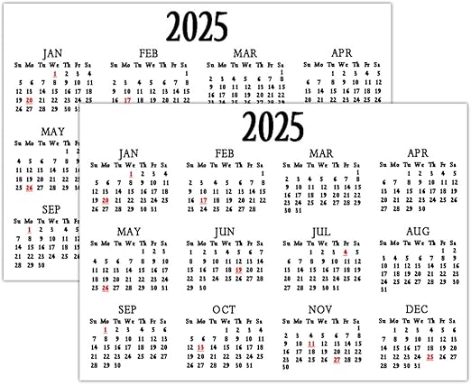 Amazon.com: 2025 Calendar Stickers Labels 5 * 7 Inch 2025 Mini Planner ...