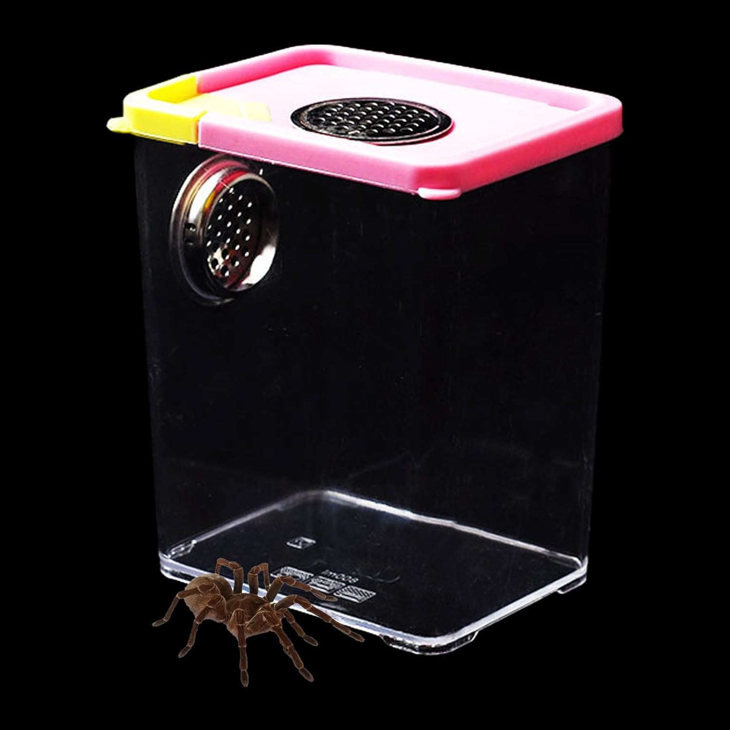 Amazon.com : Spider Terrariums Breeding Box Hatching Container Acrylic ...